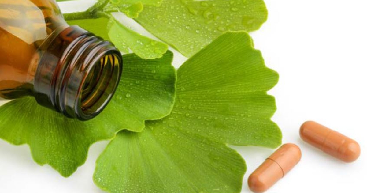 Brain-Cognition Effects of Ginkgo Biloba Extract